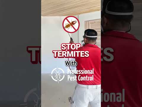 Get 20% OFF Termite Control Treatment—only this month! 🔥📉