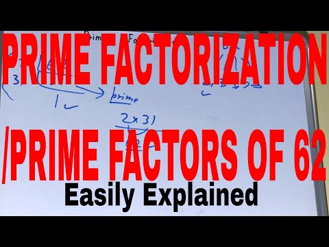 Prime factorization of 62|Prime factors of 62|Write prime factorization of 62|62 prime factors