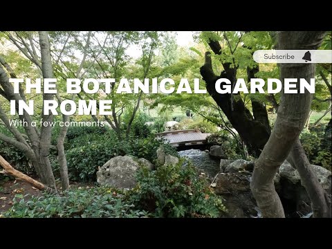 The Botanical Garden of Rome
