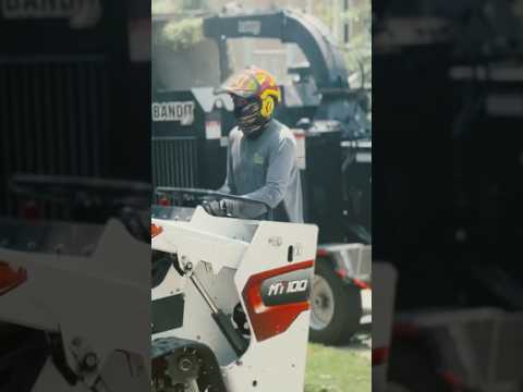 Tree Service Near Me? Safety and Efficiency | Kenny’s Tree Removal