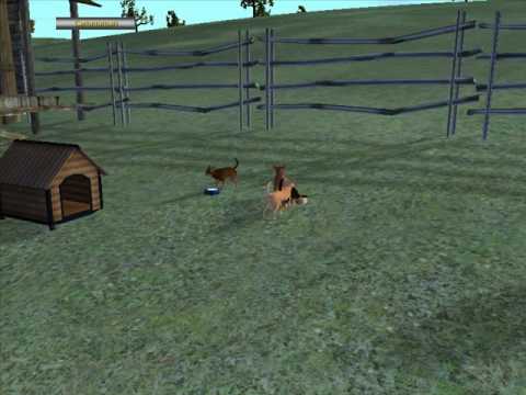 Novamente powered AI virtual dogs playing around 2