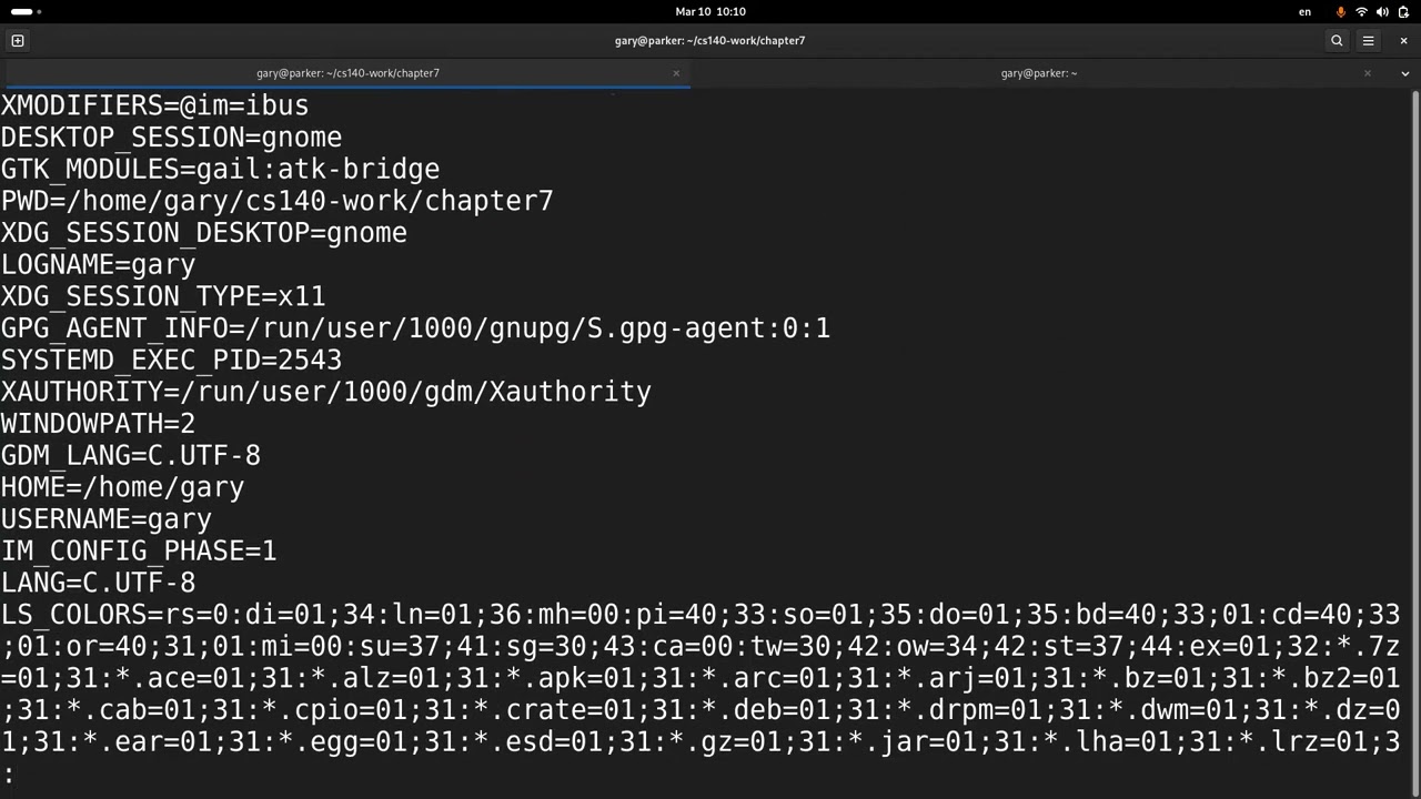 CS140 Chapter 7 variables