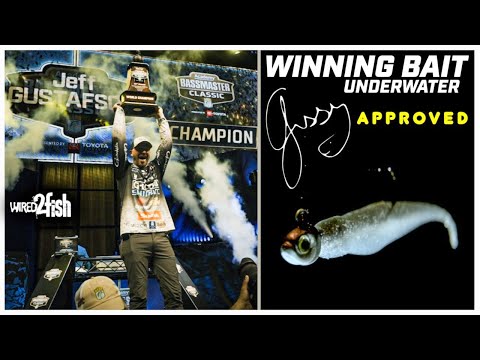 Gussy's Bassmaster Classic Winning Bait | Underwater Look
