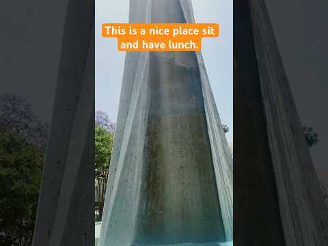 Lunch time, I found a nice place to sit. #lunchtime #funny #sun