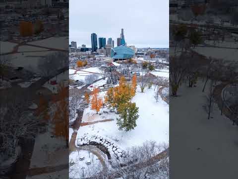 Snowflakes are winter's butterflies. Catching a few in Canada's cold embrace. βοΈπ¦.