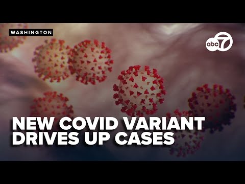 New variant of COVID-19 may be driving up cases, increasing risk of summer surge