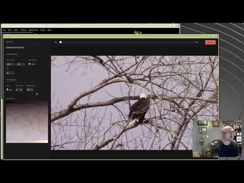 Convert Video To Animated GIF - Linux Mint 19