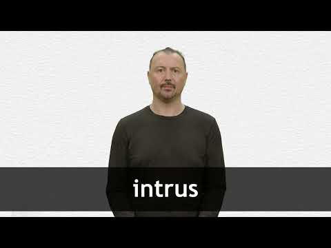 English Translation of “INTRUS” | Collins French-English Dictionary