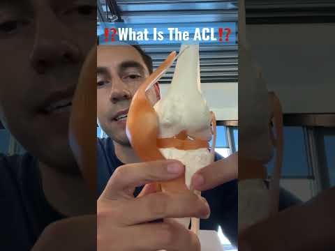 What is the ACL? (what it does) #shorts