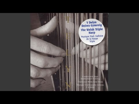 Llio Rhydderch – “Syr Harri Ddu” (Black Sir Harry). – My Inner MishMash