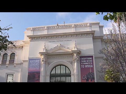 Federal funding for San Diego museums and libraries in limbo | NBC 7 San Diego