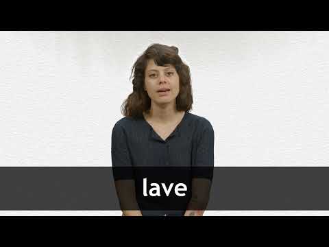 English Translation of “LAVE” | Collins French-English Dictionary