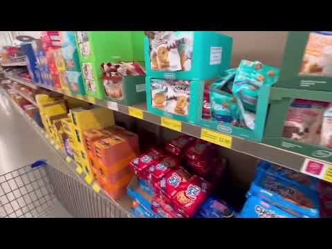 Instacart shopper vlog - Shop with me in Aldi and Publix in Virginia #aldi #publix #vlogmasday19