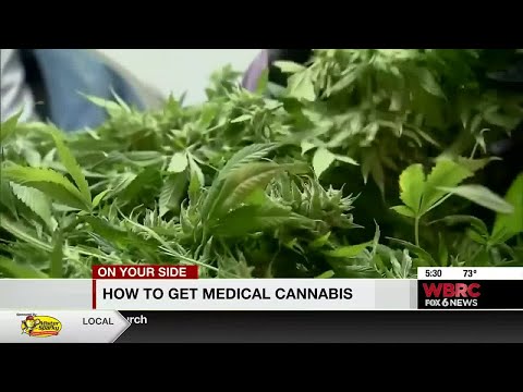 Medical cannabis industry taking shape in Alabama