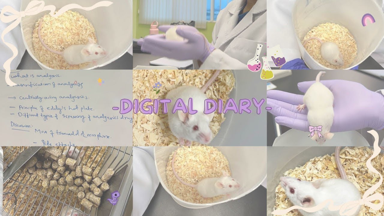 second but first cns lab for the semester :D