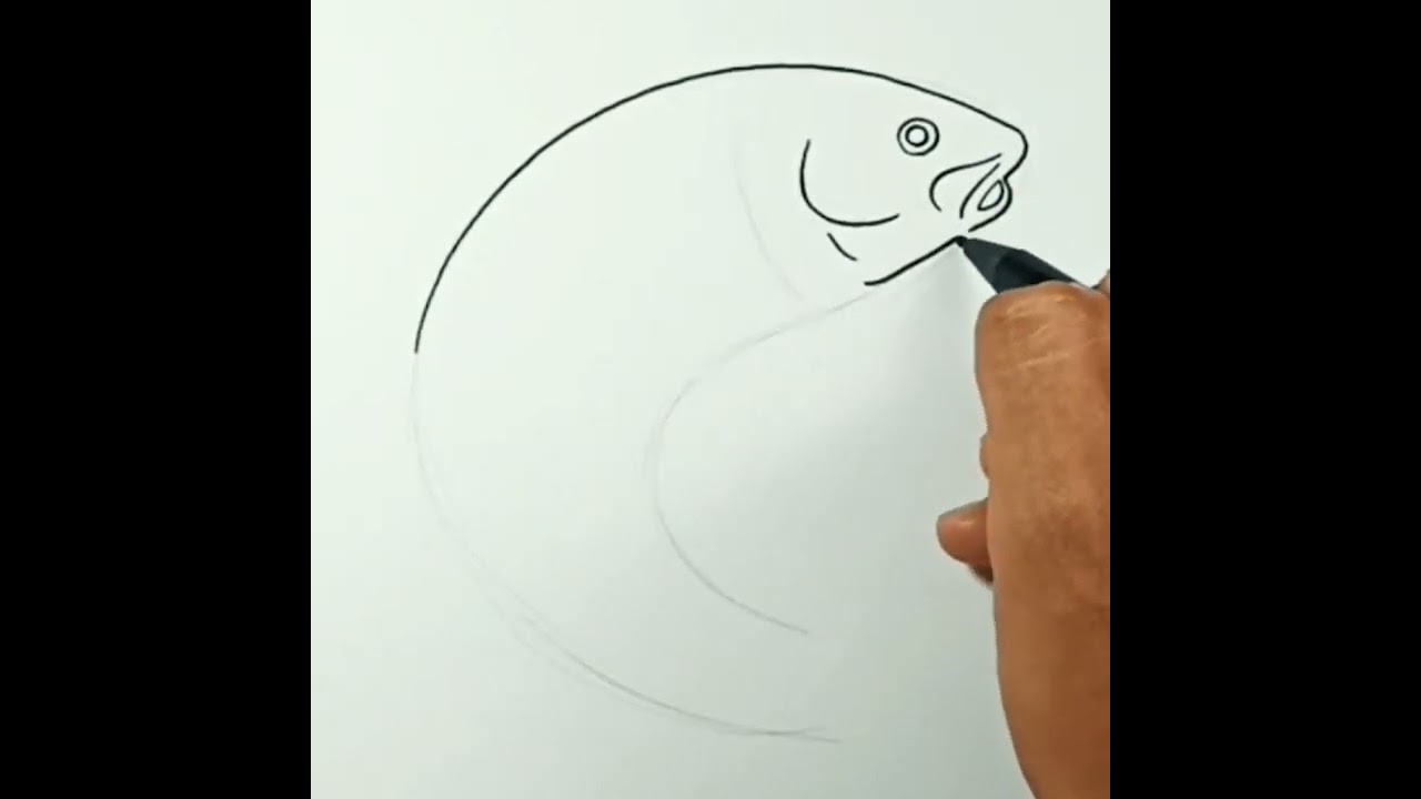 How to draw Cod Fish #shorts