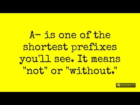 The Prefix A-