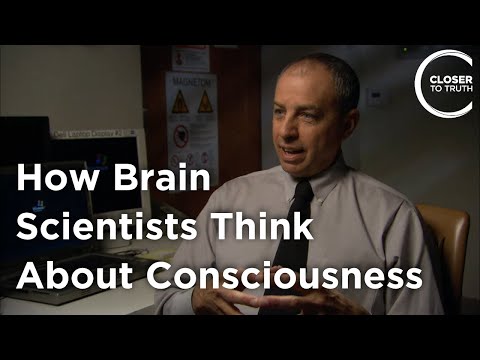 John Mazziotta - How Brain Scientists Think About Consciousness