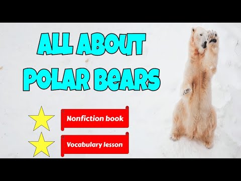 All About Polar Bears Read Aloud