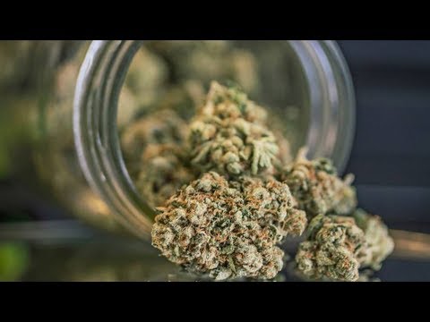 Guam Legalizes Recreational Use of Marijuana