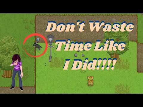 8 Things I Wish I Knew Before Starting Cattails / Tips and Tricks