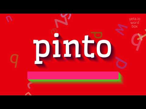 How to say "pinto"! (High Quality Voices)