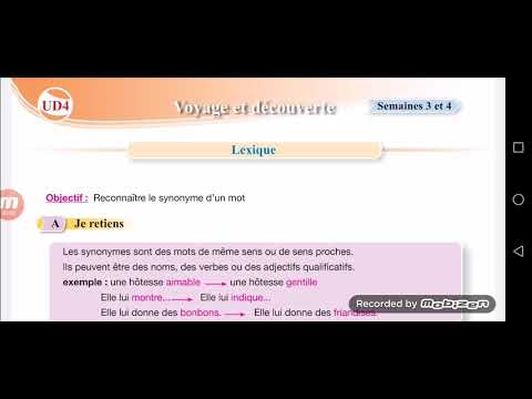 Lexique : la synonymie