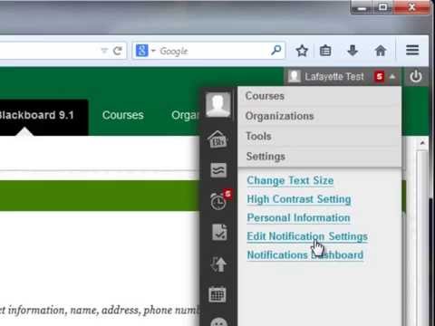 Blackboard Course Notifications