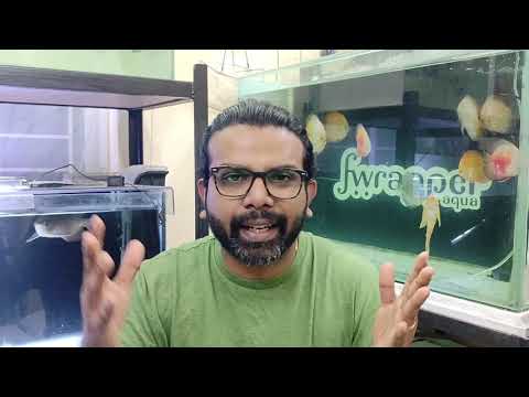 How To Calculate Aquarium Filtration || Fish Tank filter