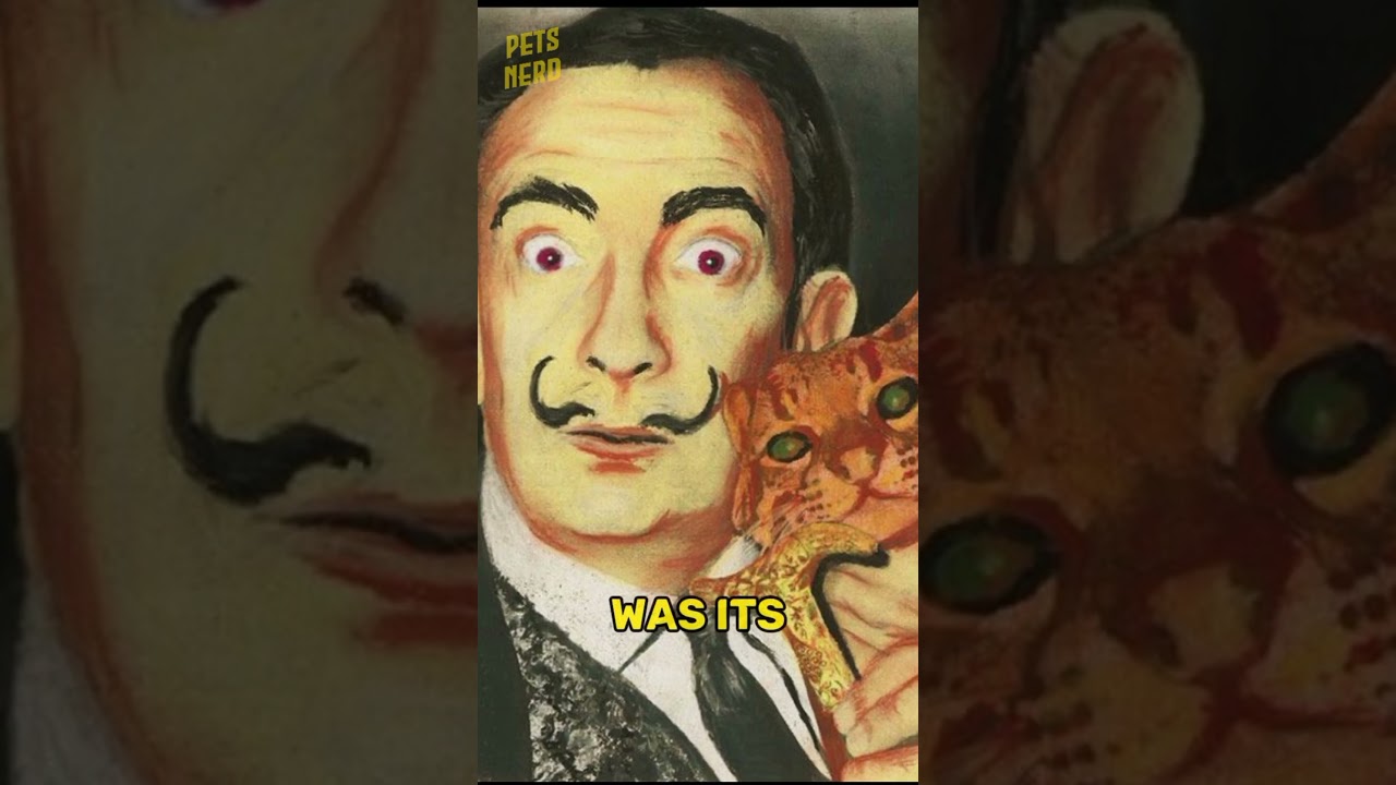PREDATOR owned by historic PAINTER | Salvador Dalí  #shortvideo #painting #predator #pets #trending