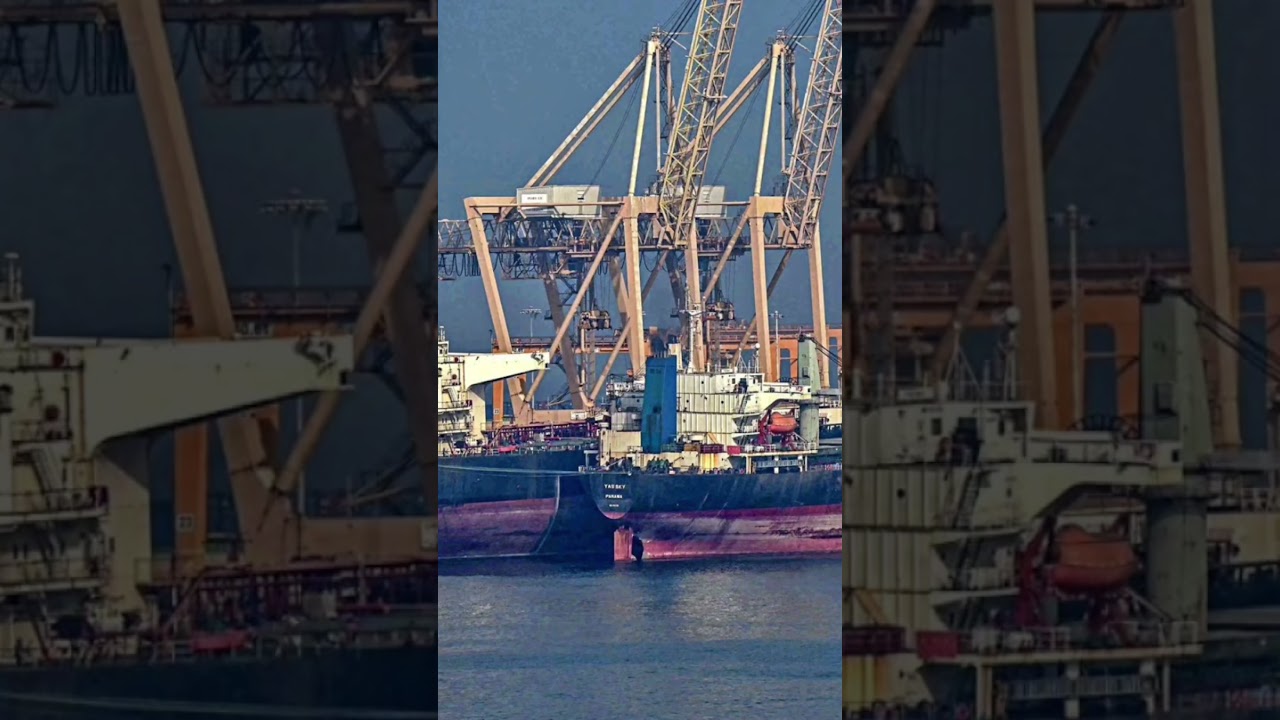 United Arab Emirates leaves OPEC amid global tensions; price impact anticipated