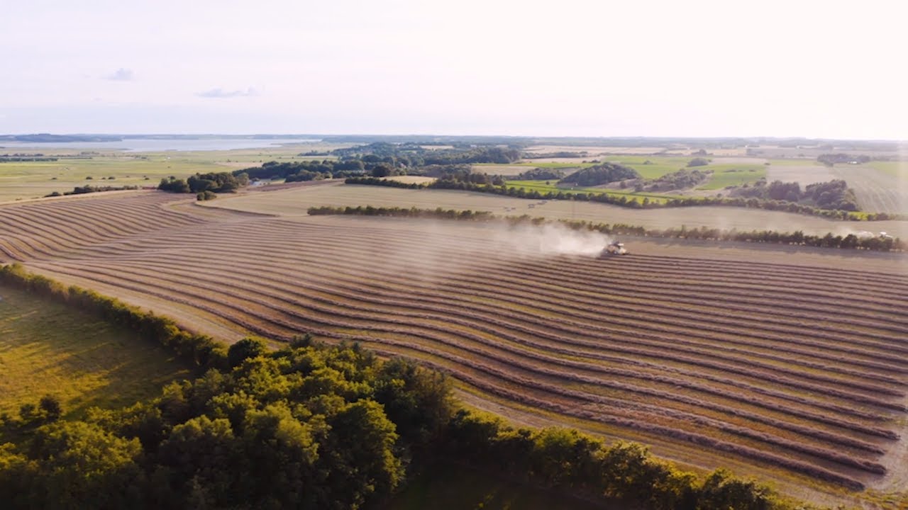 Hamlet Protein – Specialty Soy Ingredients