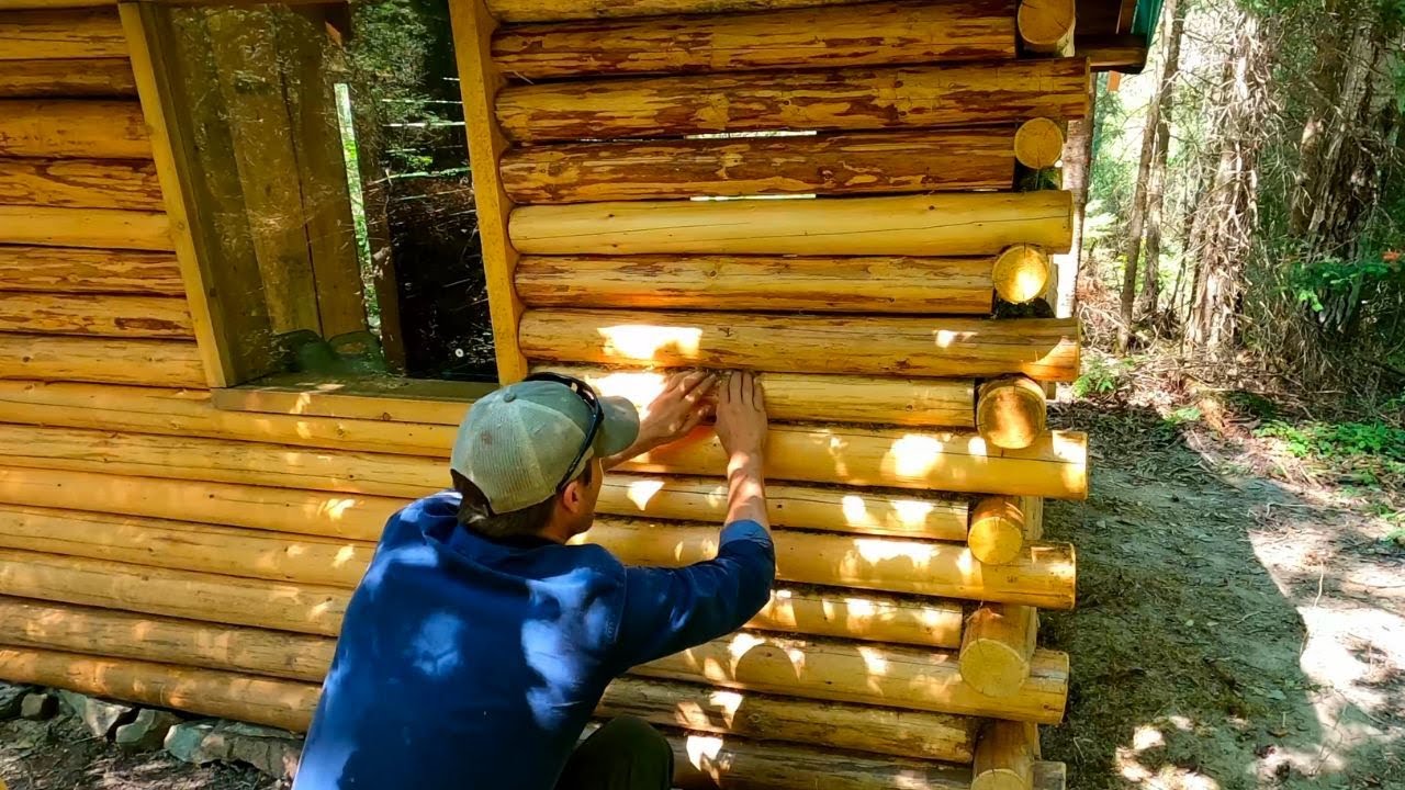 Tiny Log Cabin Solo Build - Episode 5