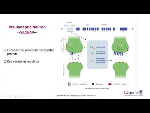 Pharmacogenomics: Understanding the SLC6A4 & HTR2A genes (Relevance to depression and SSRIs)