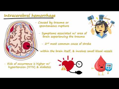 Brain Hemorrhage - Epidural, Subdural, Subarachnoid, Intracerebral - Concisely Described