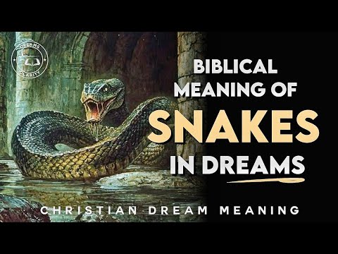 Spiritual Meaning of DREAMING of SNAKES | Chased By A Snake In Dreams | Black Snake Dream Meaning