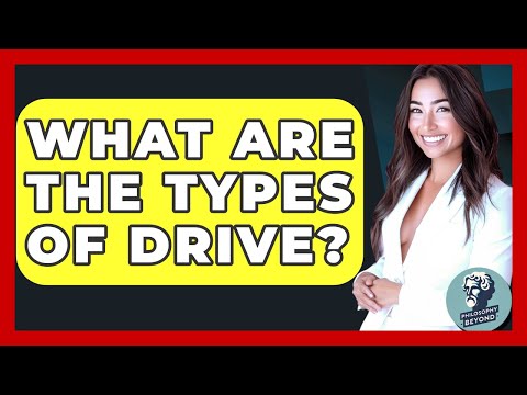 What Are The Types Of Drive? - Philosophy Beyond