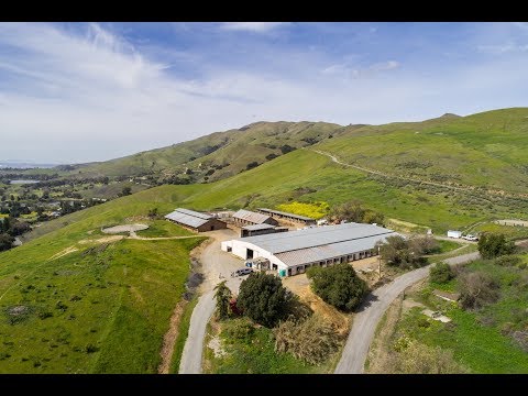 Diamond W Stables | Santa Clara, California