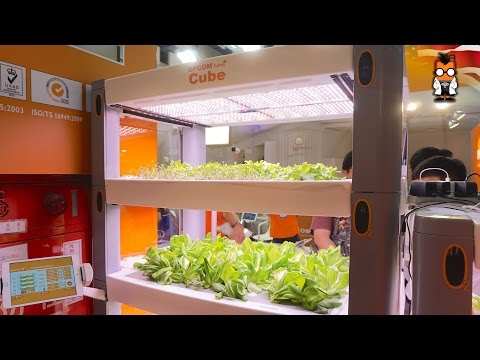 Opcom farm cube: hydroponic farming at home [English]