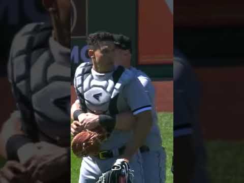 Oneil Cruz gets injured which causes a brawl #mlb #mlbhighlights #shorts #pirates #baseball