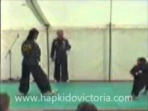 H.I.A. Grand Master Bermas Kim Demonstrating Fan Techniques (Buchaesool)