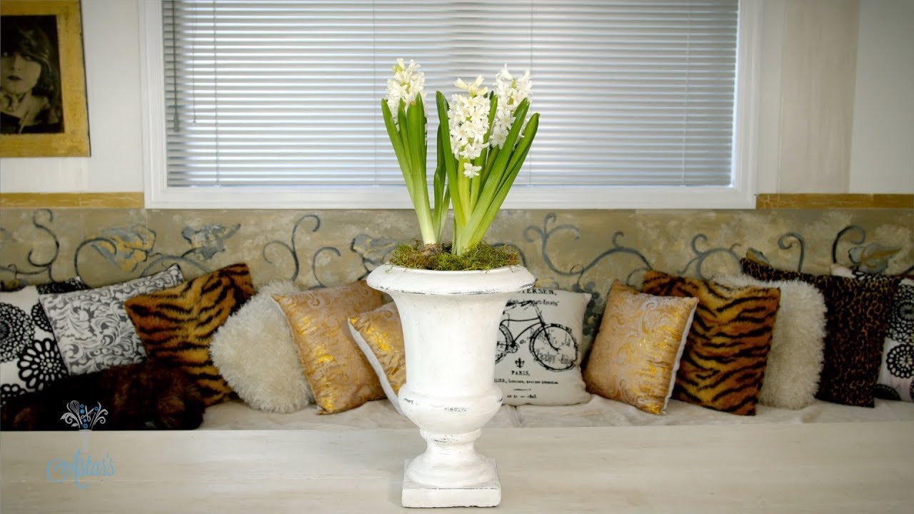 Floristry Tutorial: How to Elegantly Present Spring Hyacinth Flowers