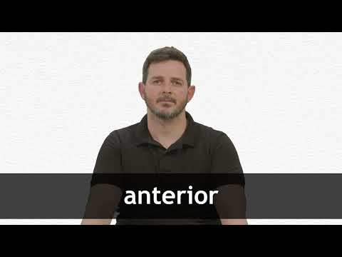 English Translation of “ANTERIOR” | Collins Spanish-English Dictionary