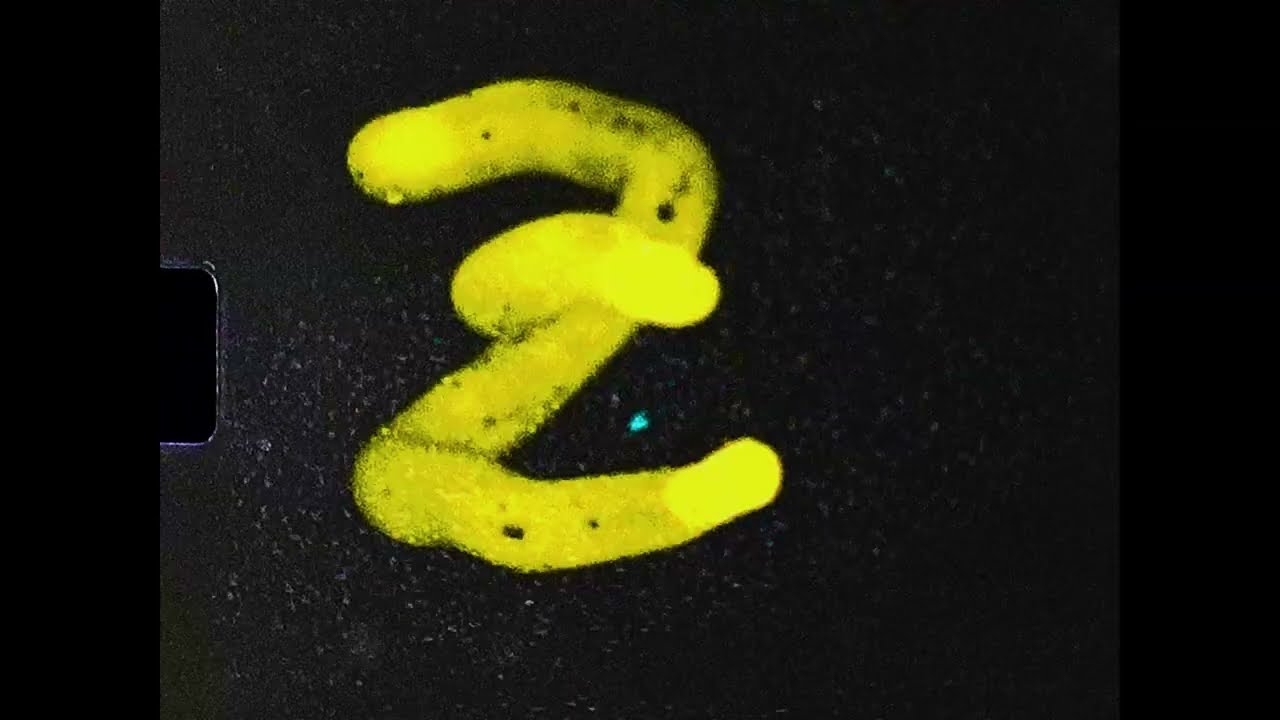 ZENO