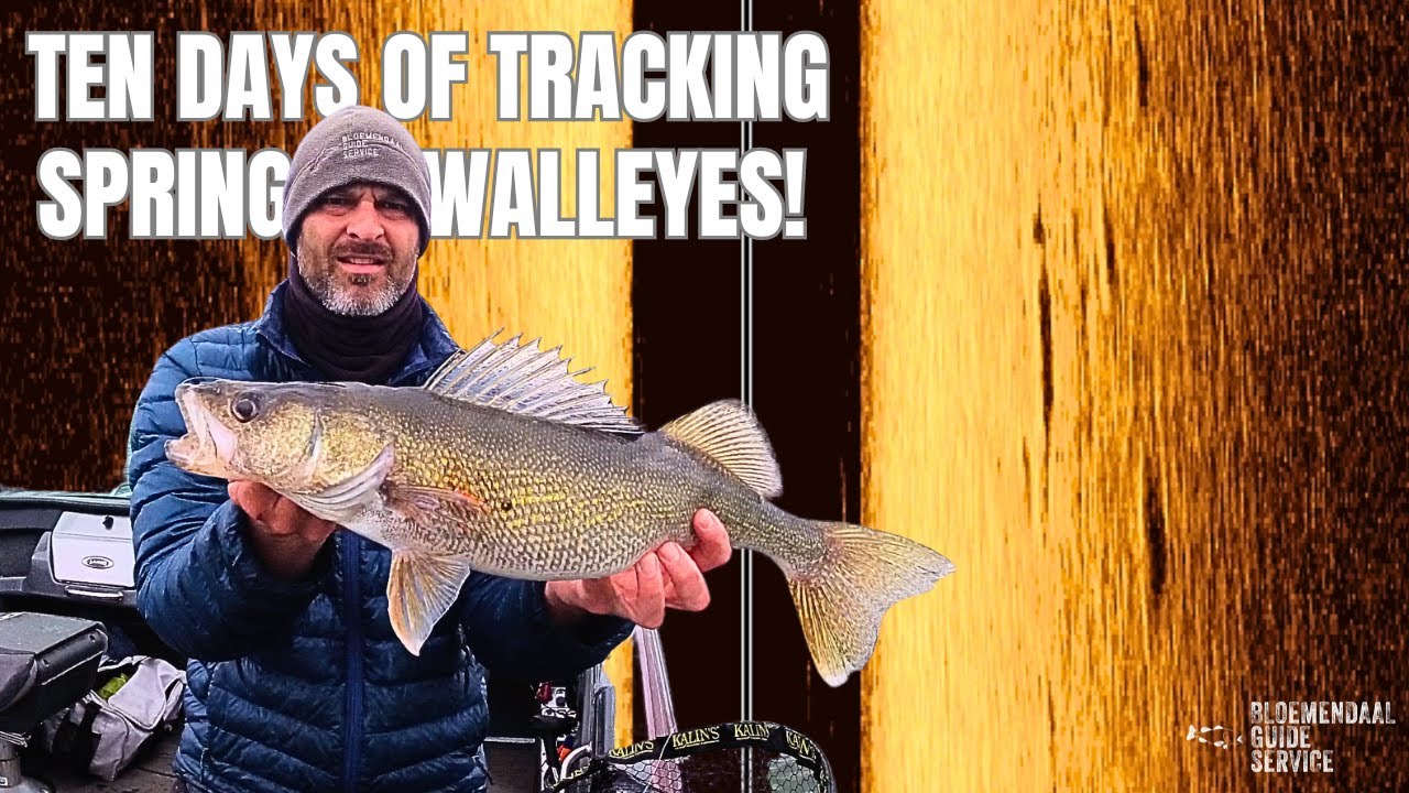 The Ultimate Post-spawn Walleye Project