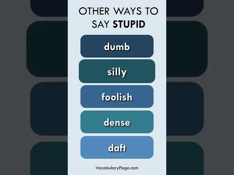 Other ways to say STUPID