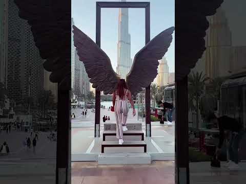#dubailife #wings