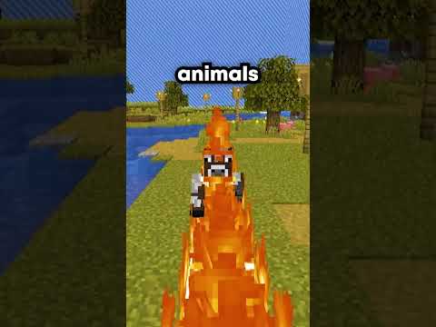 BEST Java/Bedrock Minecraft Server π#minecraft #minecraftserver