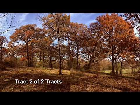 Land Auction - Trenton, IL