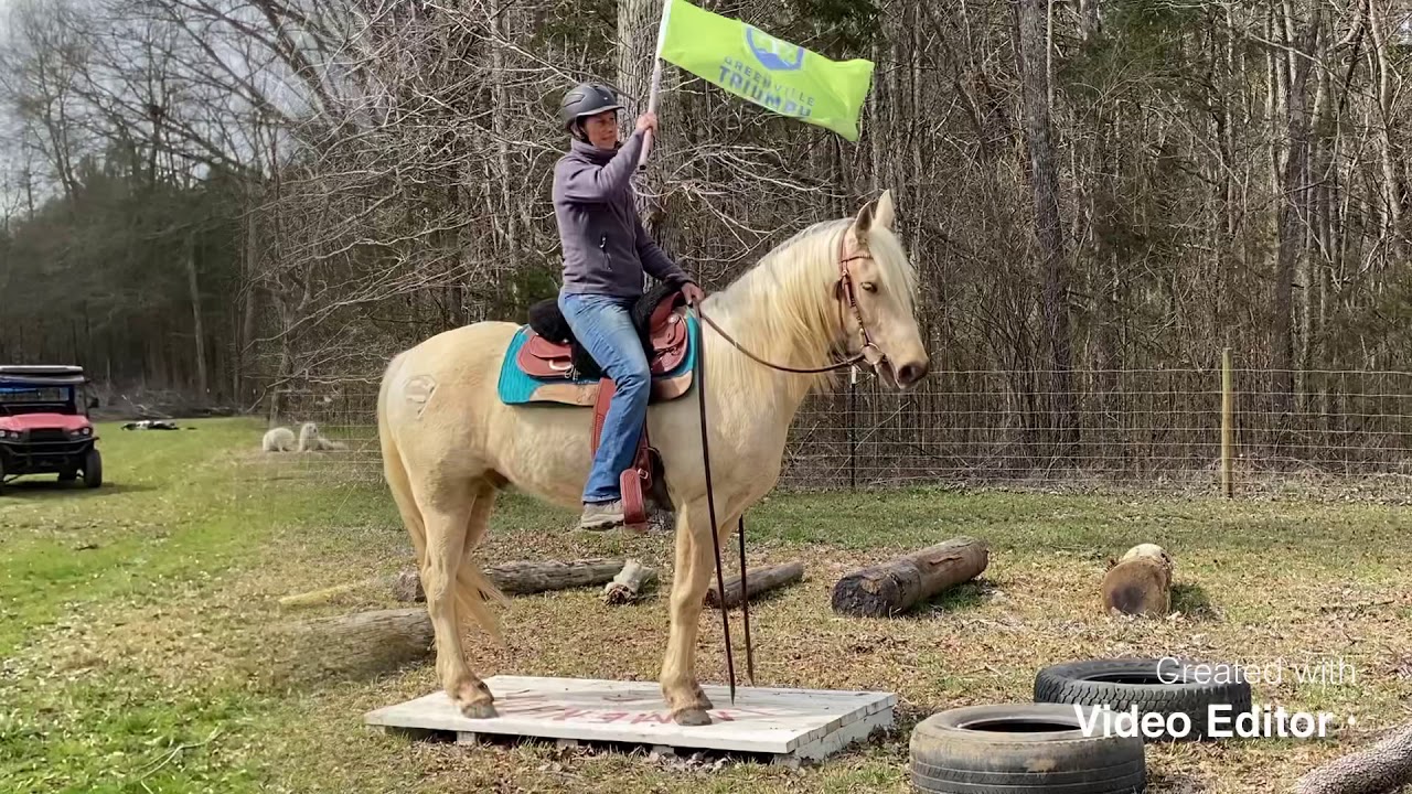 Jolly Jumper (aka JJ)